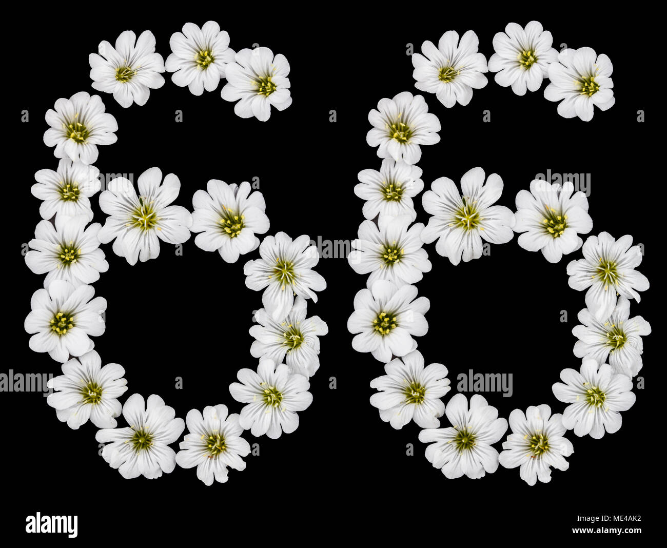 Happy birthday 66 hi-res stock photography and images - Alamy