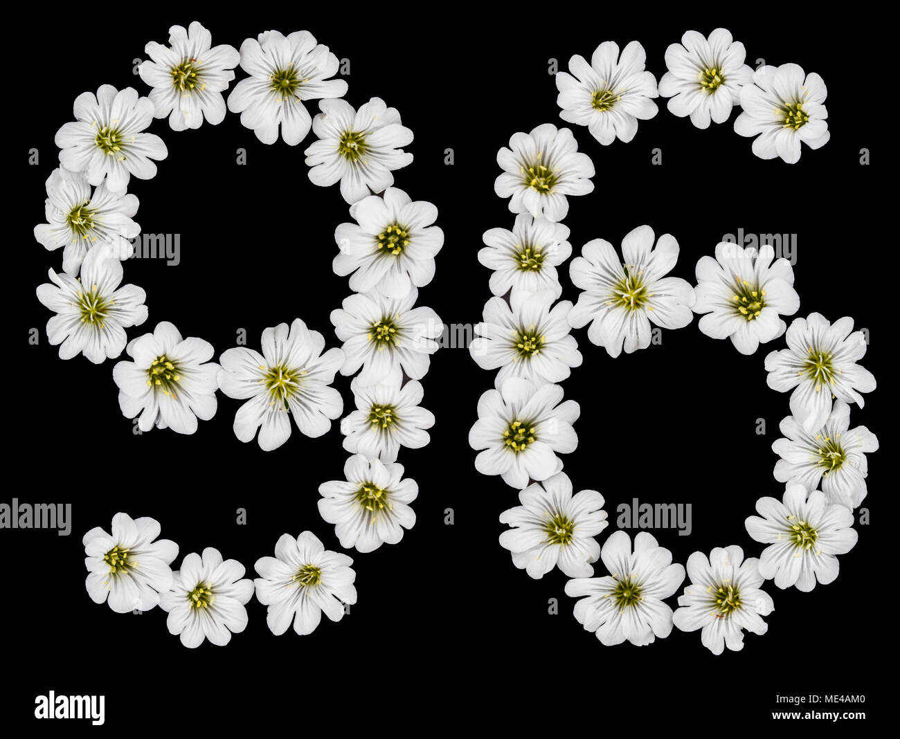 Arabic numeral 96, ninety six, ninety, nine, six, from white flowers of ...
