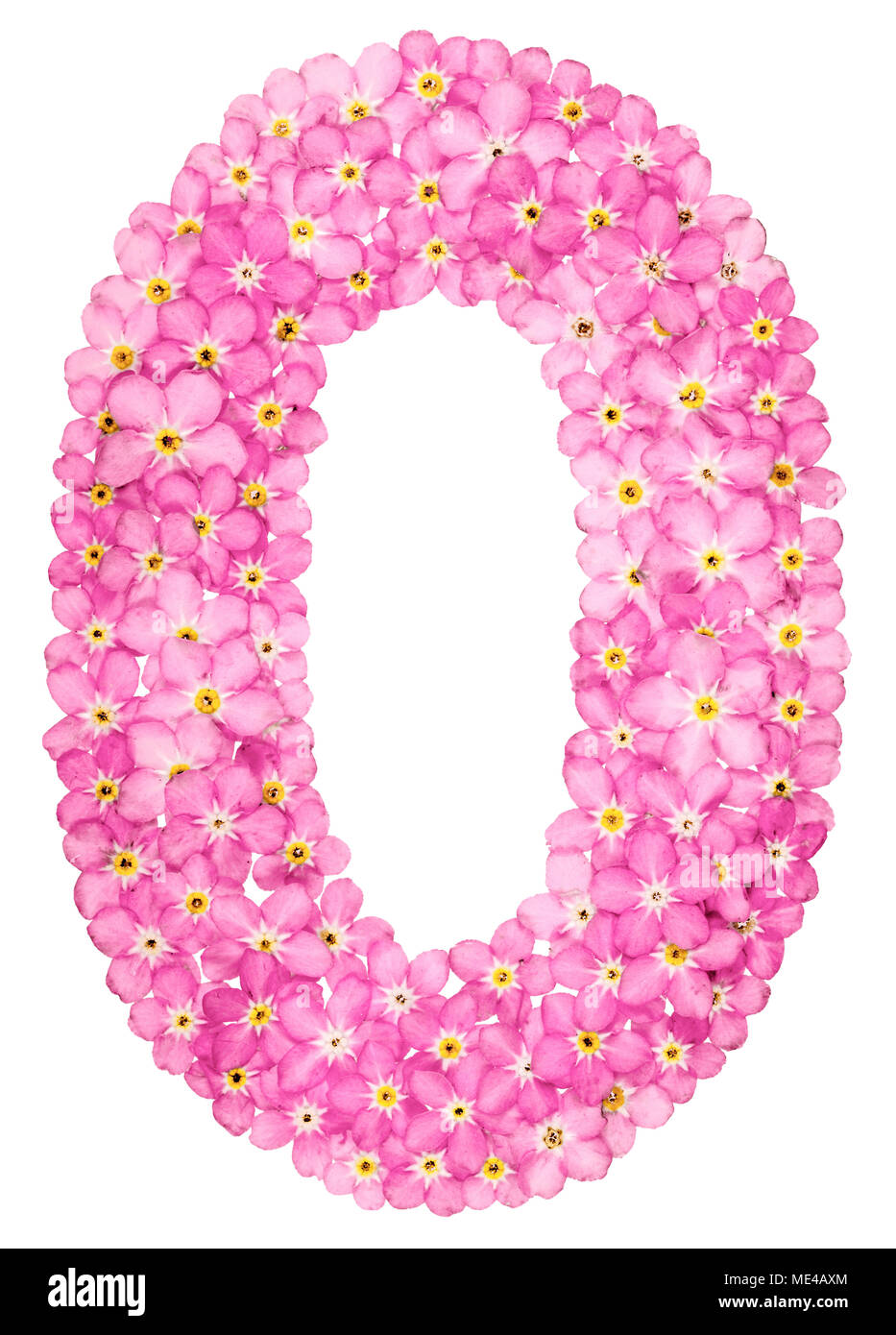 Arabic numeral 0, zero, from pink forget-me-not flowers, isolated on ...