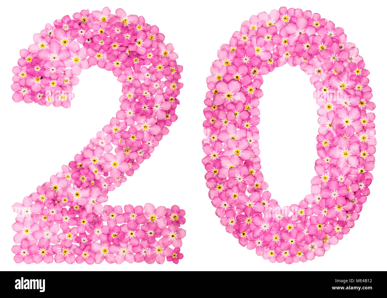 Arabic numeral 20, twenty, from pink forget-me-not flowers, isolated on ...