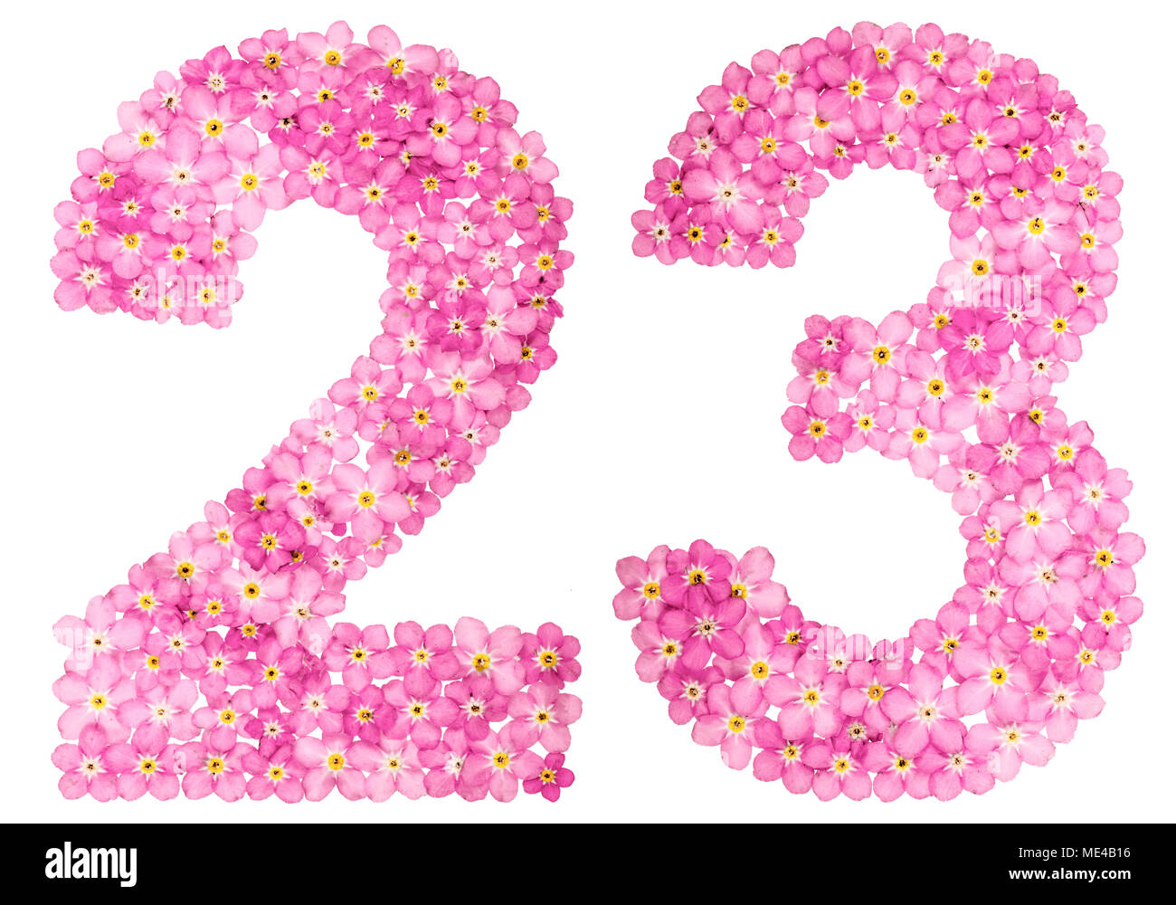 Arabic numeral 23, twenty three, from pink forget-me-not flowers ...