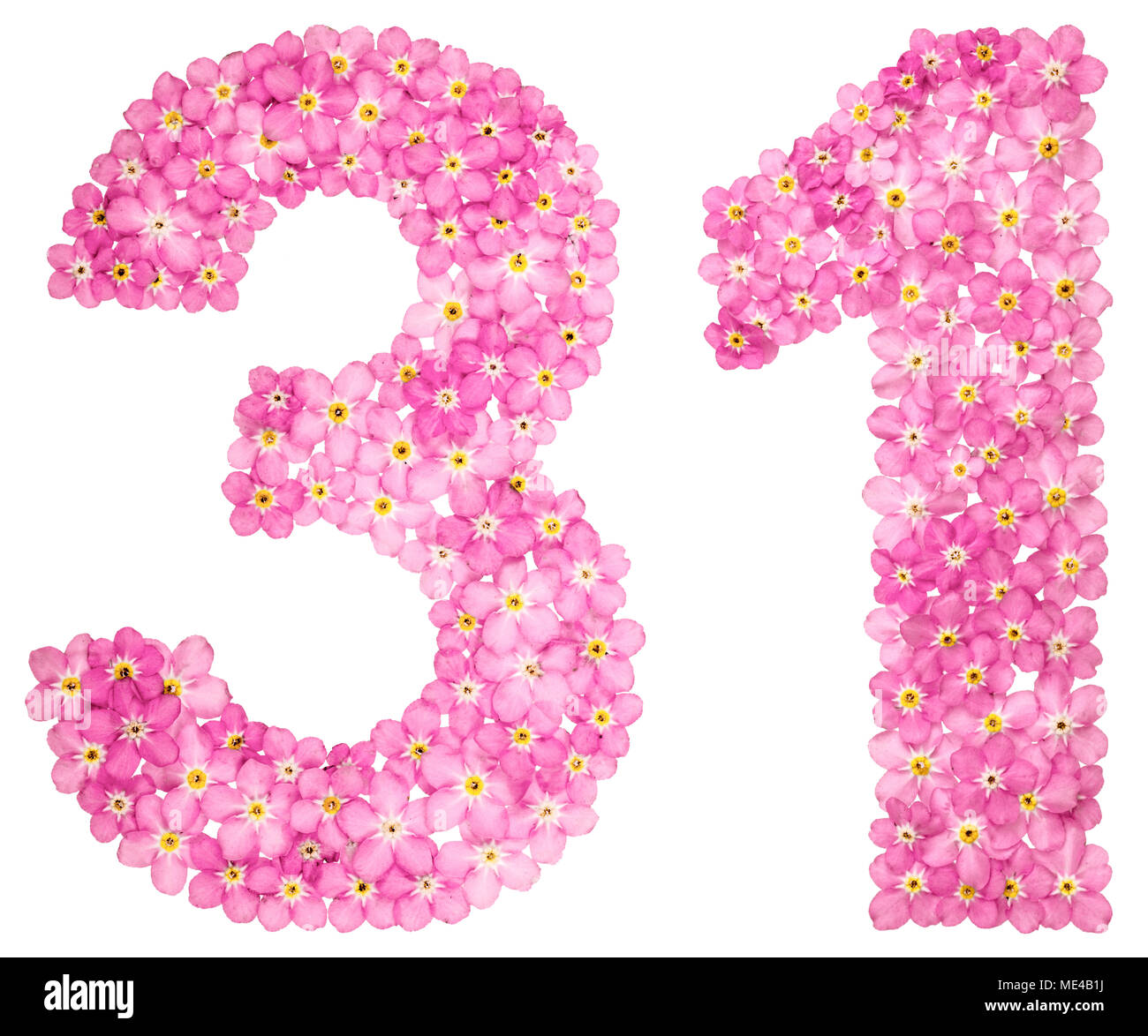 Arabic numeral 31, thirty one, from pink forget-me-not flowers ...