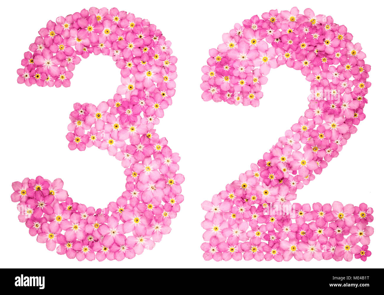 Arabic numeral 32, thirty two, from pink forget-me-not flowers ...