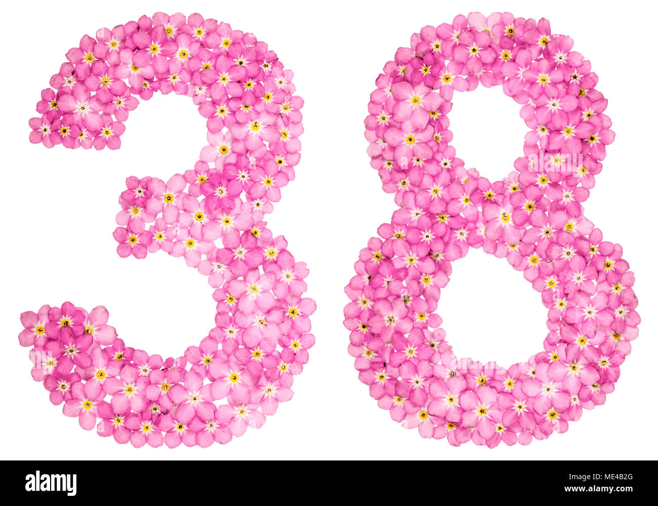 Arabic numeral 38, thirty eight, from pink forget-me-not flowers, isolated on white background ...