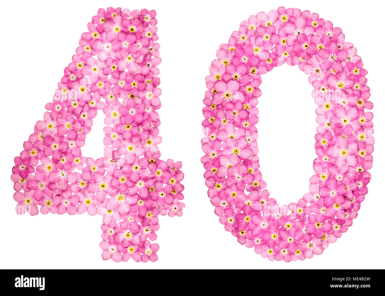 Arabic numeral 40, forty, from pink forget-me-not flowers, isolated on ...