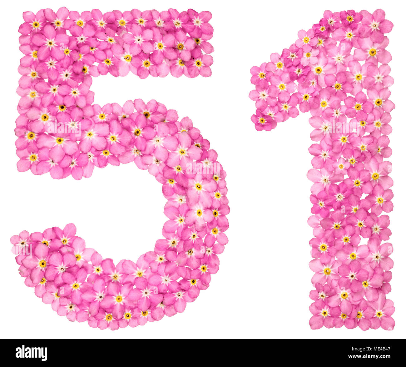Arabic numeral 51, fifty one, from pink forget-me-not flowers, isolated ...