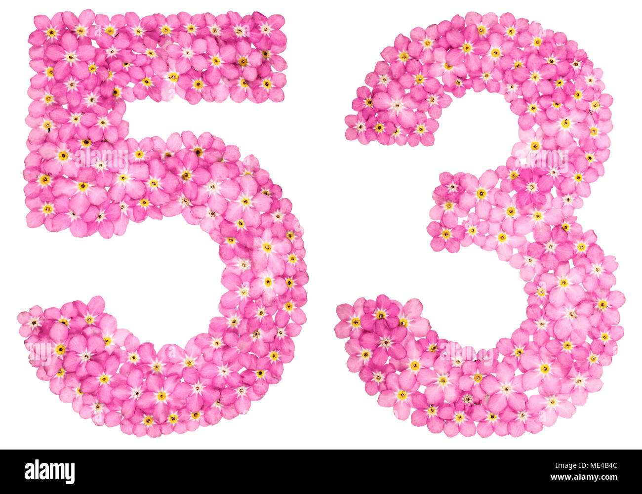 Arabic numeral 53, fifty three, from pink forget-me-not flowers ...