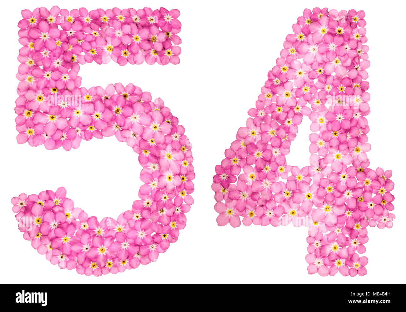 Arabic numeral 54, fifty four, from pink forget-me-not flowers ...