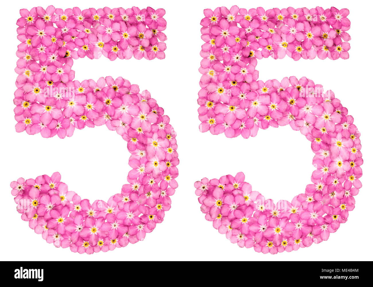Arabic numeral 55, fifty five, from pink forget-me-not flowers ...
