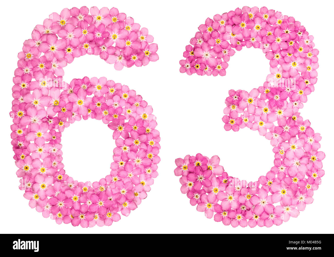 Arabic numeral 63, sixty three, from pink forget-me-not flowers ...
