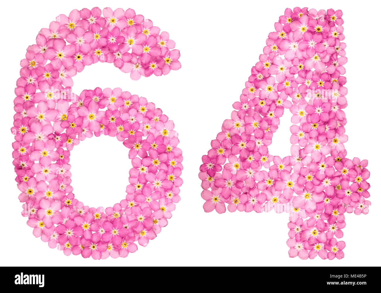 Arabic numeral 64, sixty four, from pink forget-me-not flowers ...
