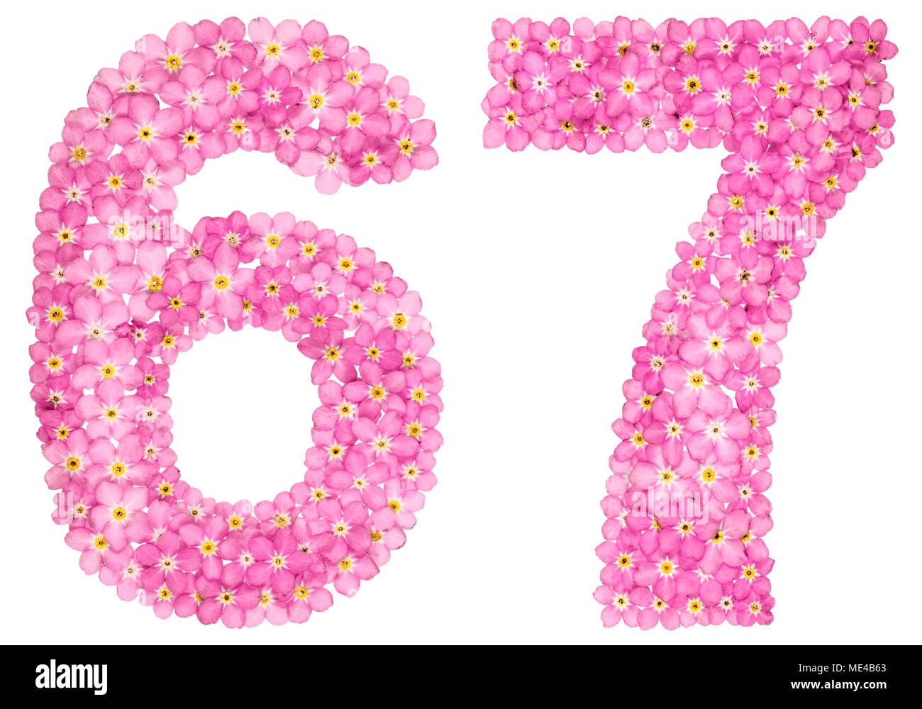 Arabic numeral 67, sixty seven, from pink forget-me-not flowers ...