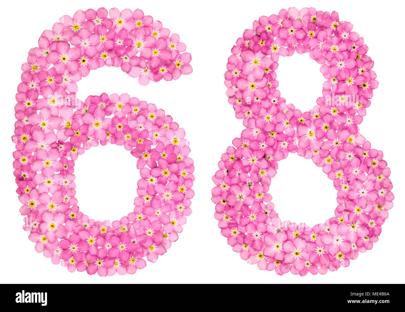 Arabic numeral 68, sixty eight, from pink forget-me-not flowers ...