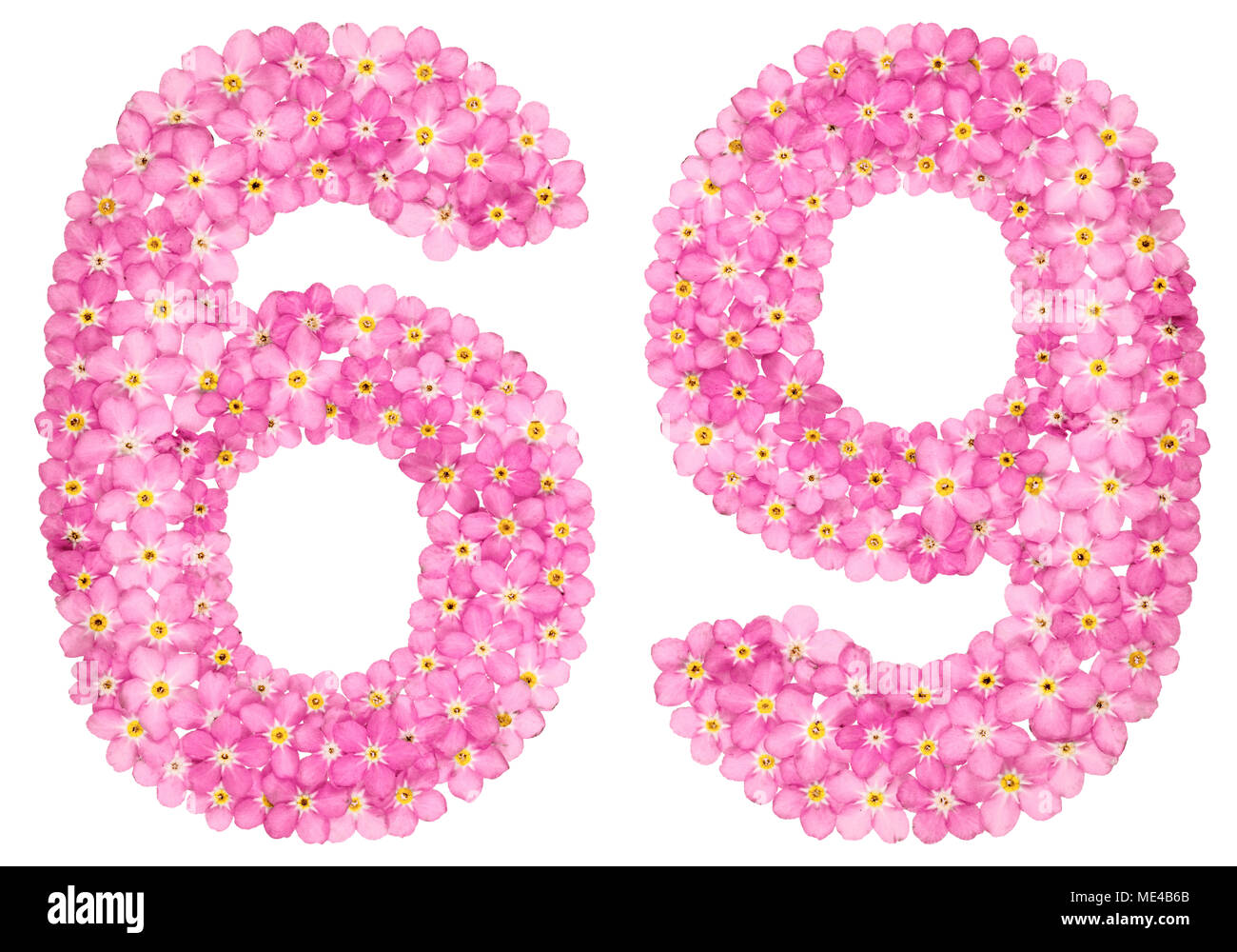Arabic numeral 69, sixty nine, from pink forget-me-not flowers ...