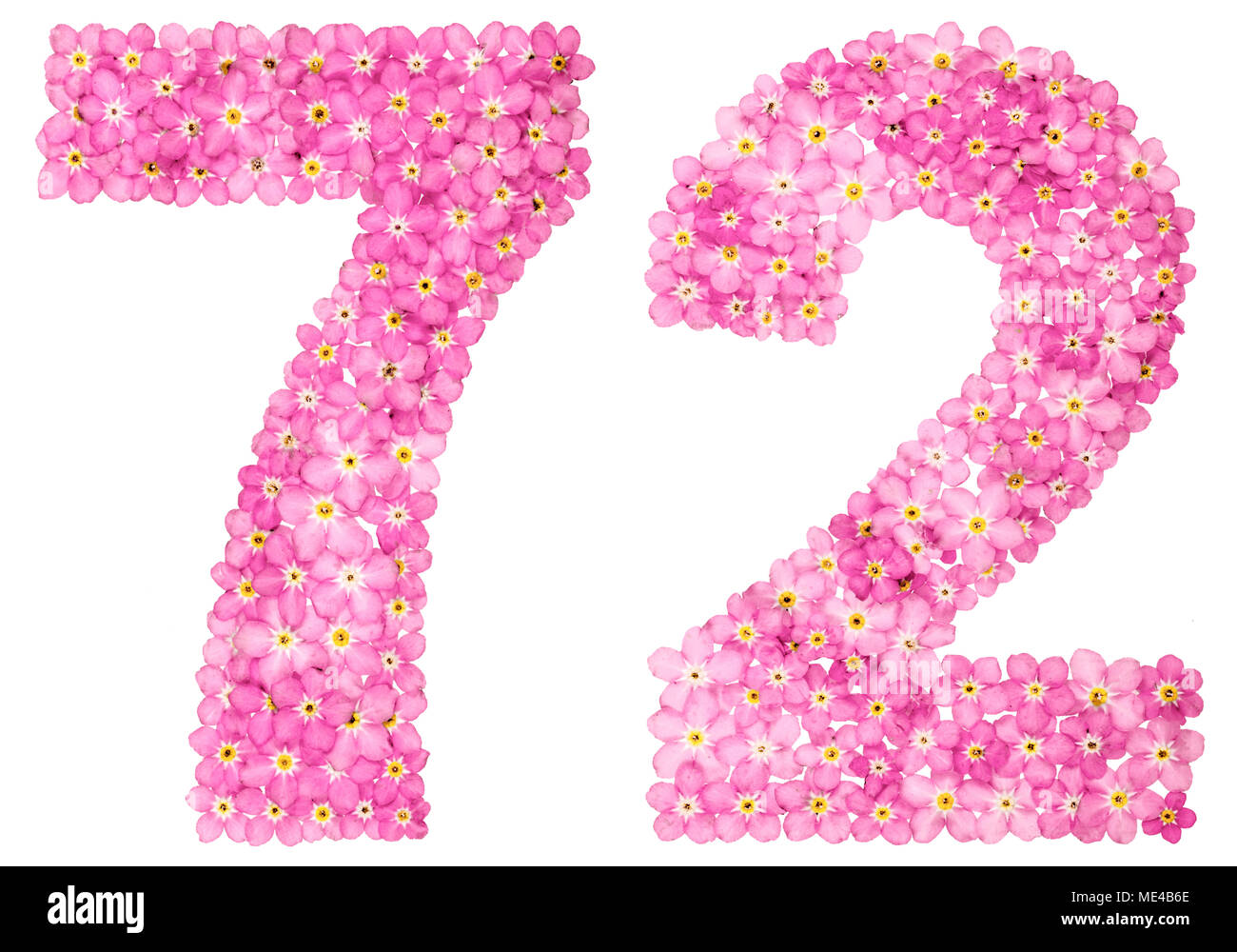 Arabic numeral 72, seventy two, from pink forget-me-not flowers ...