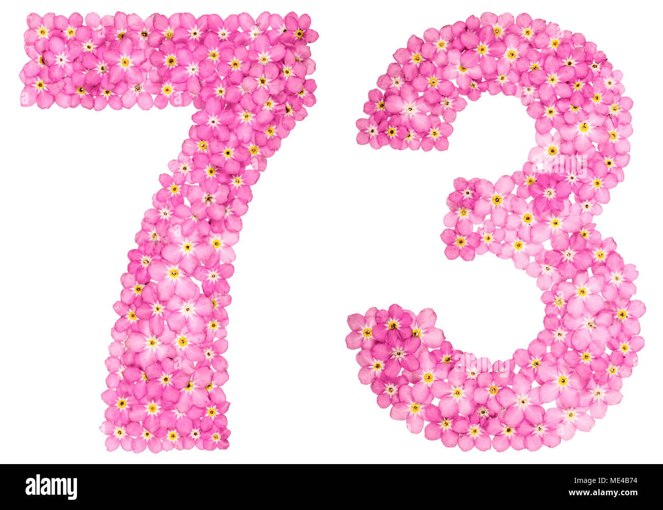 Arabic numeral 73, seventy three, from pink forget-me-not flowers ...