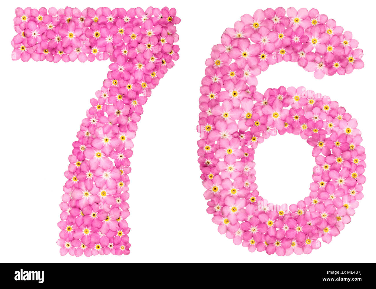 Arabic numeral 76, seventy six, from pink forget-me-not flowers ...