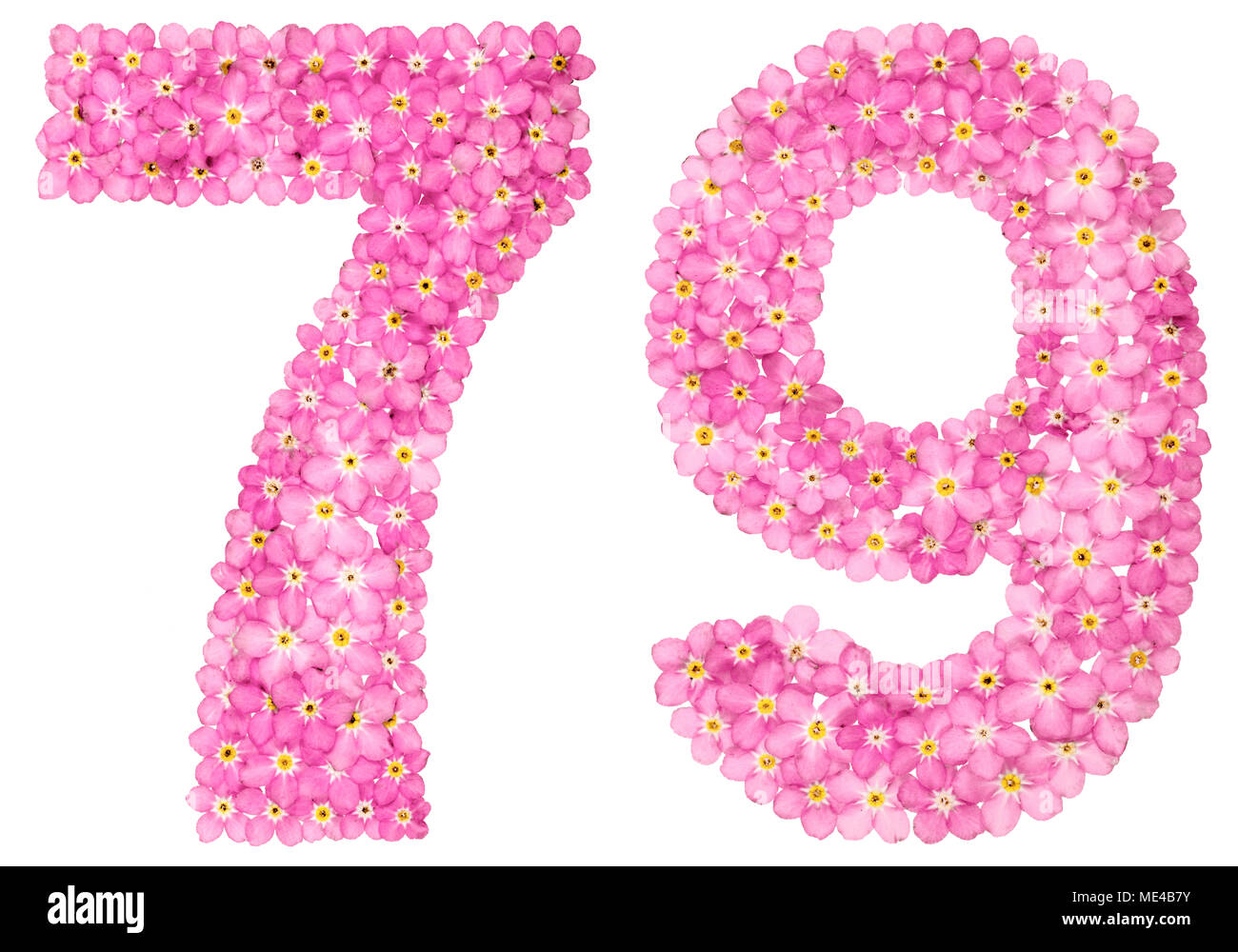 Arabic numeral 79, seventy nine, from pink forget-me-not flowers ...