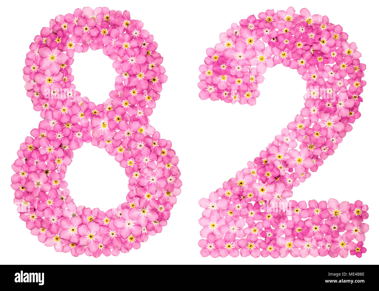 Arabic numeral 82, eighty two, from pink forget-me-not flowers ...