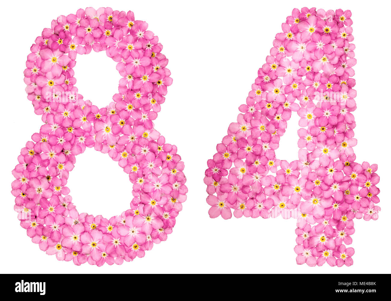 Arabic numeral 84, eighty four, from pink forget-me-not flowers ...