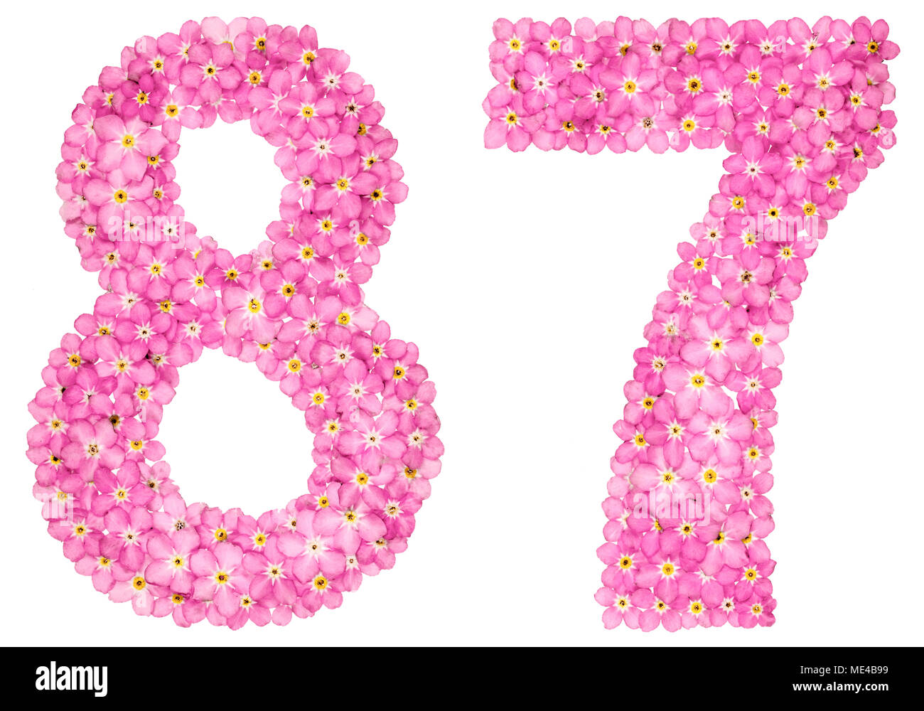 Arabic numeral 87, eighty seven, from pink forget-me-not flowers ...