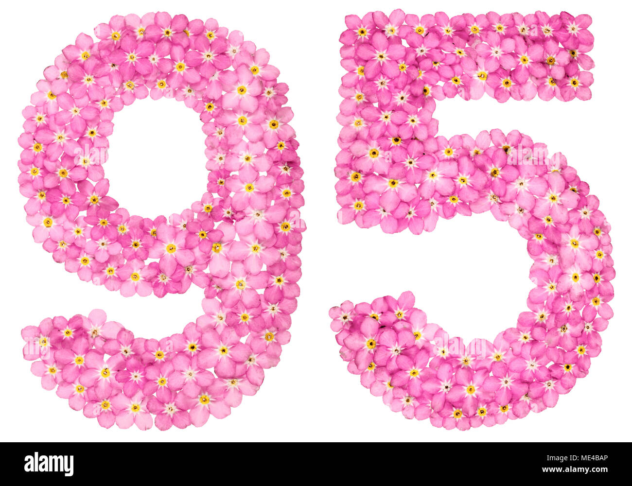 Arabic numeral 95, ninety five, from pink forget-me-not flowers ...