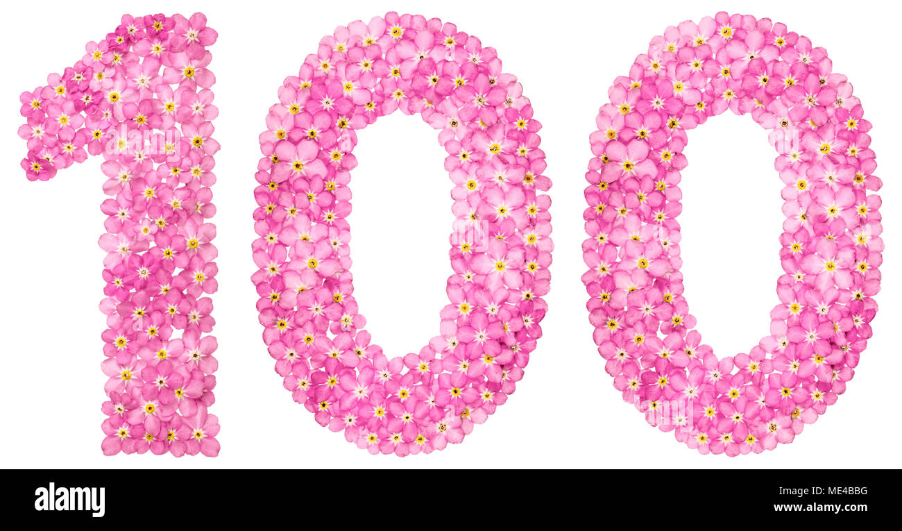 Arabic numeral 100, one hundred, from pink forget-me-not flowers ...