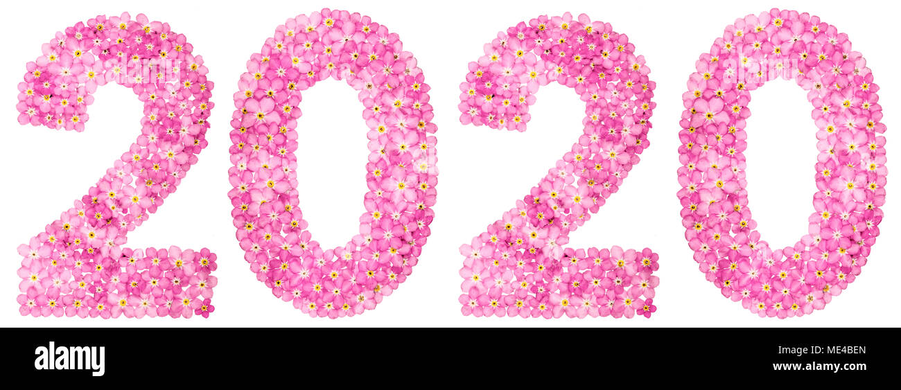 Numeral 2020 from pink forget-me-not flowers, isolated on white ...