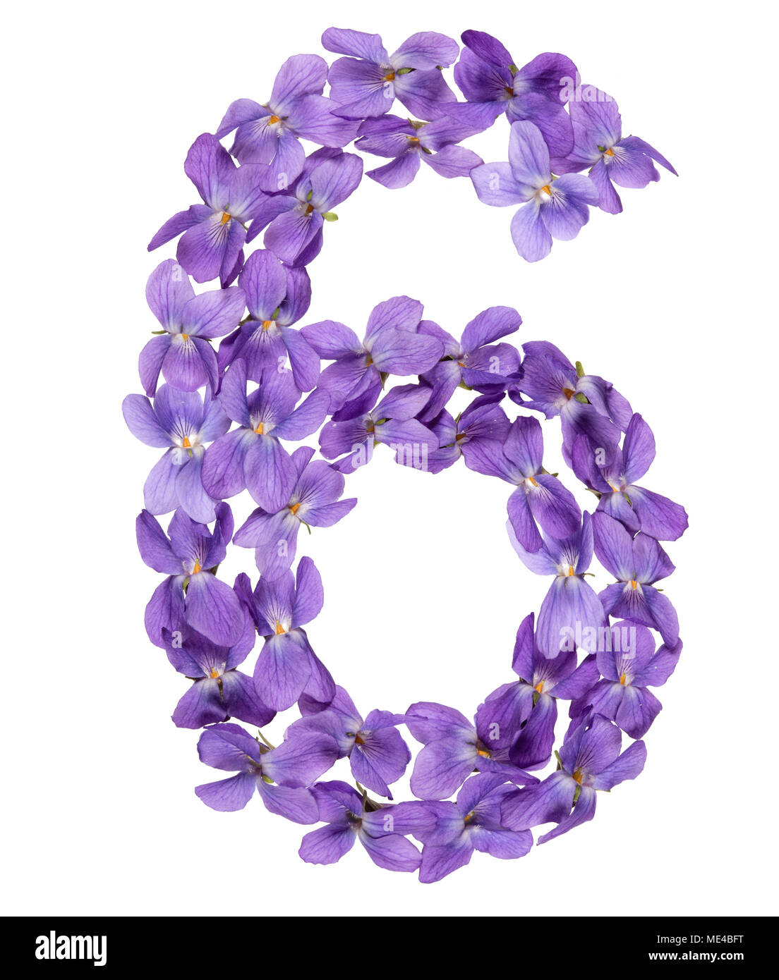 Arabic numeral 6, six, from flowers of viola, isolated on white ...