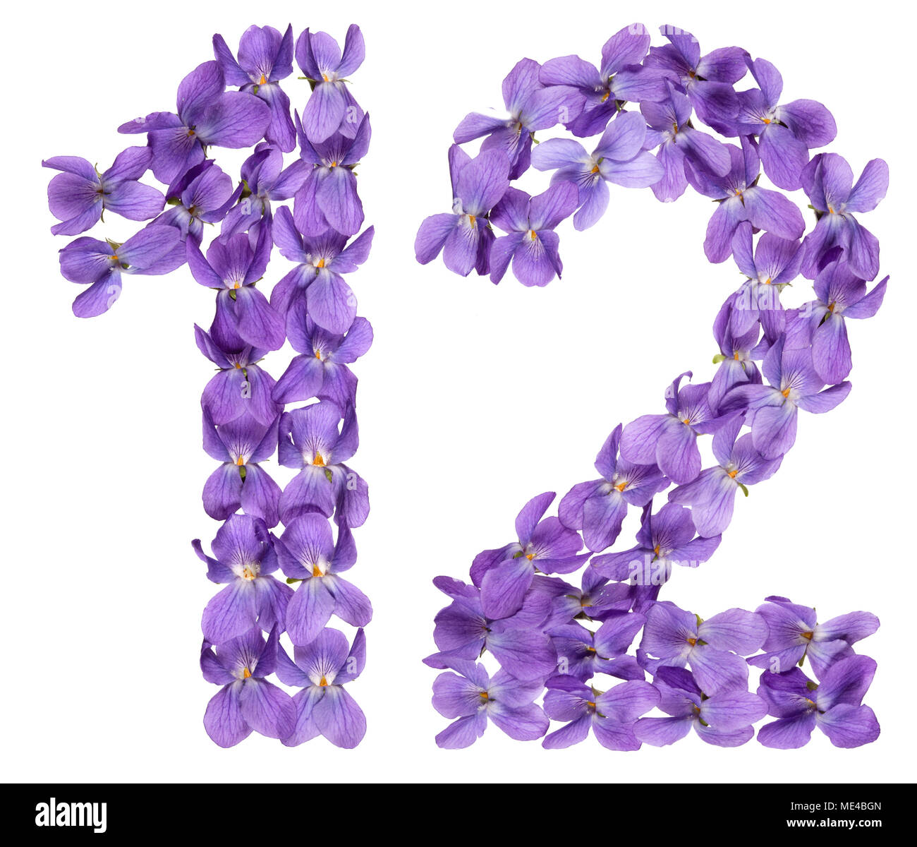 Arabic numeral 12, twelve, from flowers of viola, isolated on white ...