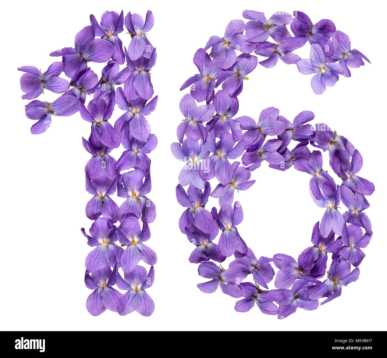 Arabic numeral 16, sixteen, from flowers of viola, isolated on white ...