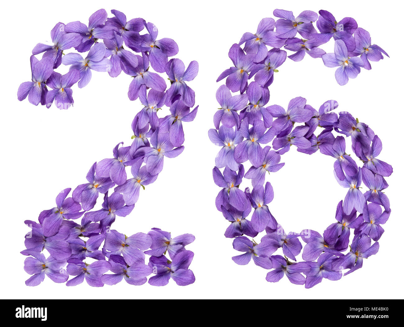 Arabic numeral 26, twenty six, from flowers of viola, isolated on white ...