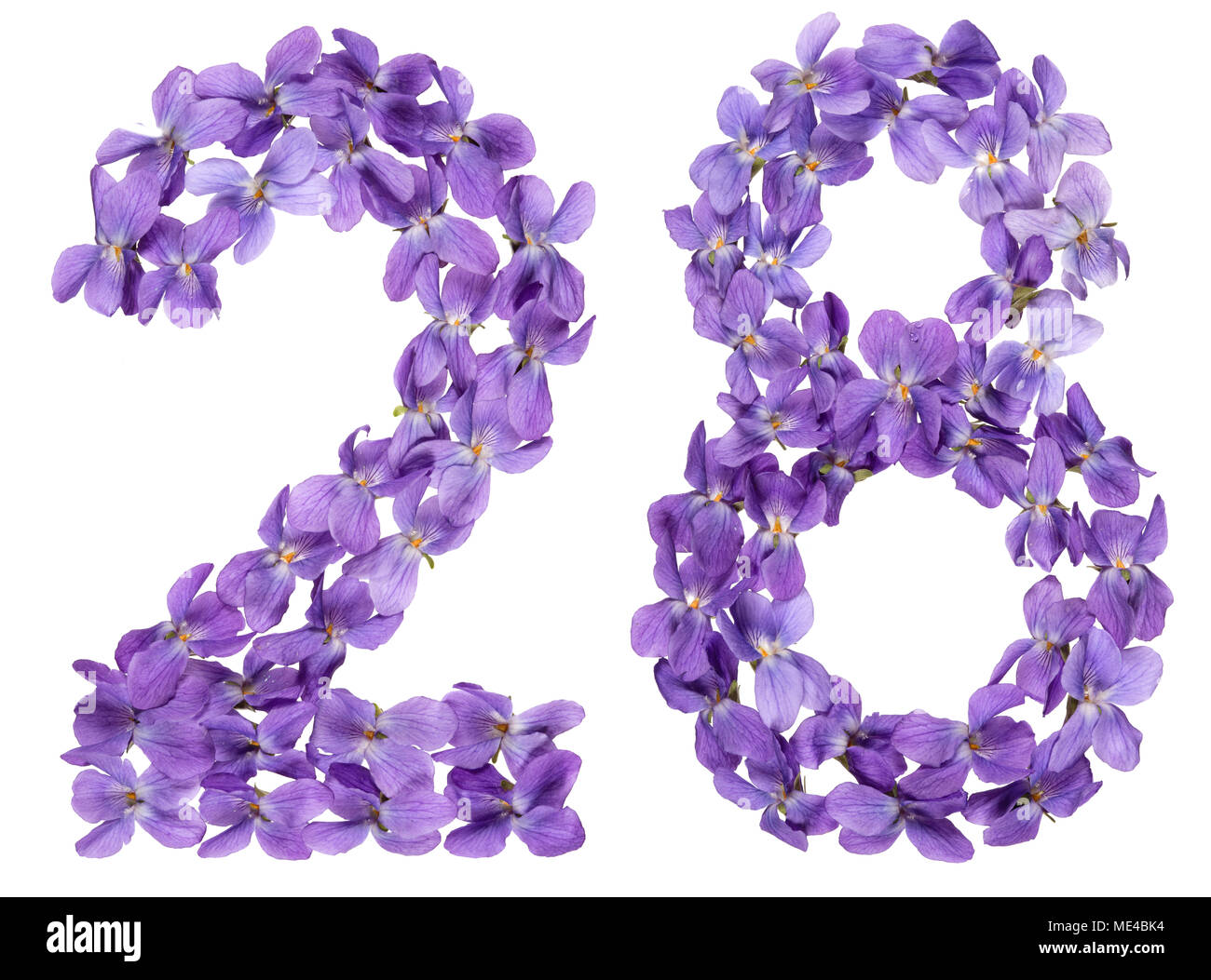 Arabic numeral 28, twenty eight, from flowers of viola, isolated on ...