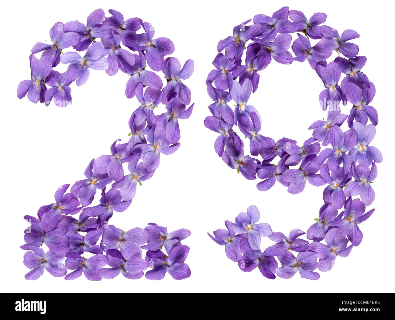 Arabic numeral 29, twenty nine, from flowers of viola, isolated on ...