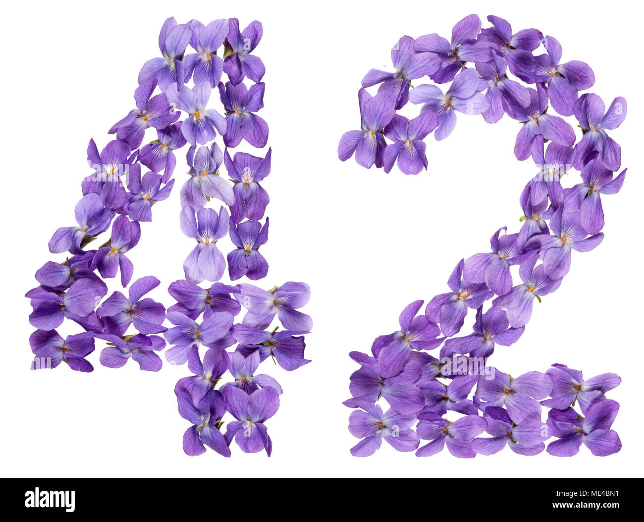 Arabic numeral 42, forty two, from flowers of viola, isolated on white ... Arabic numeral 42, forty two, from flowers of viola, isolated on white ...