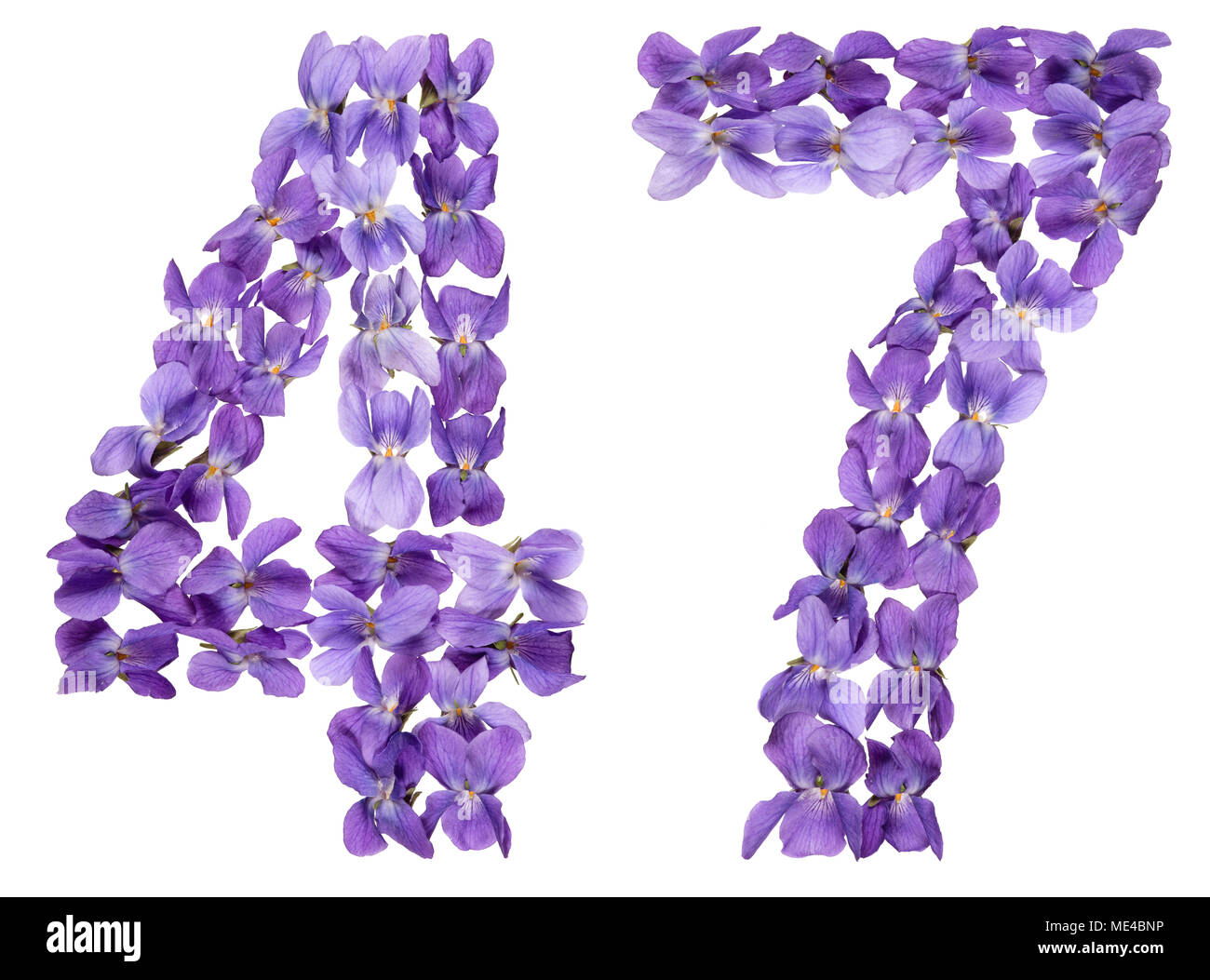 Arabic numeral 47, forty seven, from flowers of viola, isolated on ...
