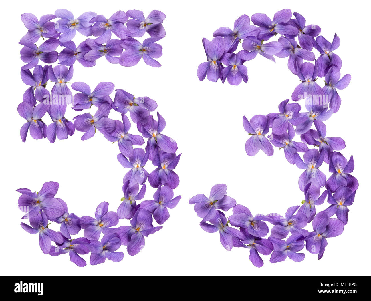 Arabic numeral 53, fifty three, from flowers of viola, isolated on ...