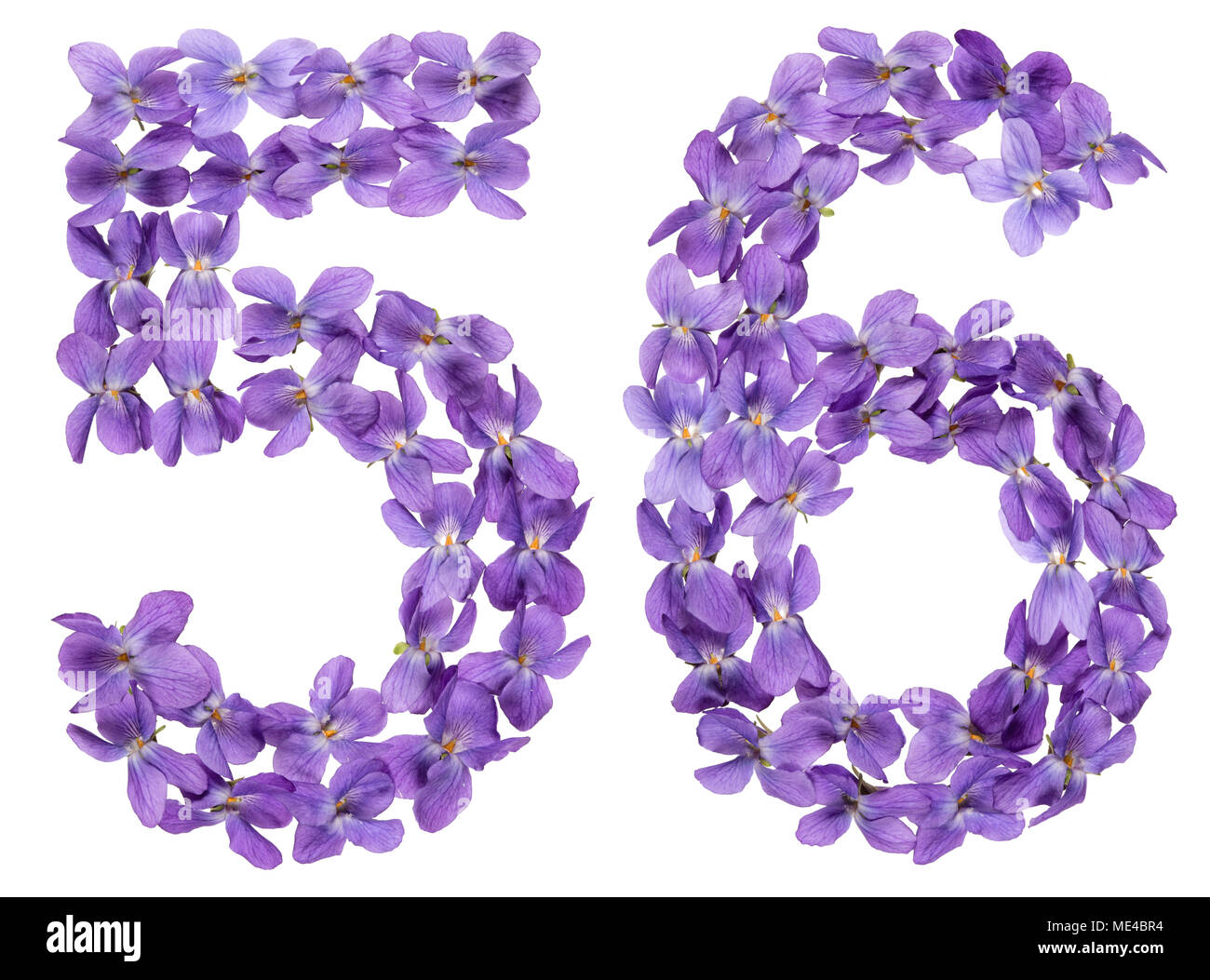 Arabic numeral 56, fifty six, from flowers of viola, isolated on white ...
