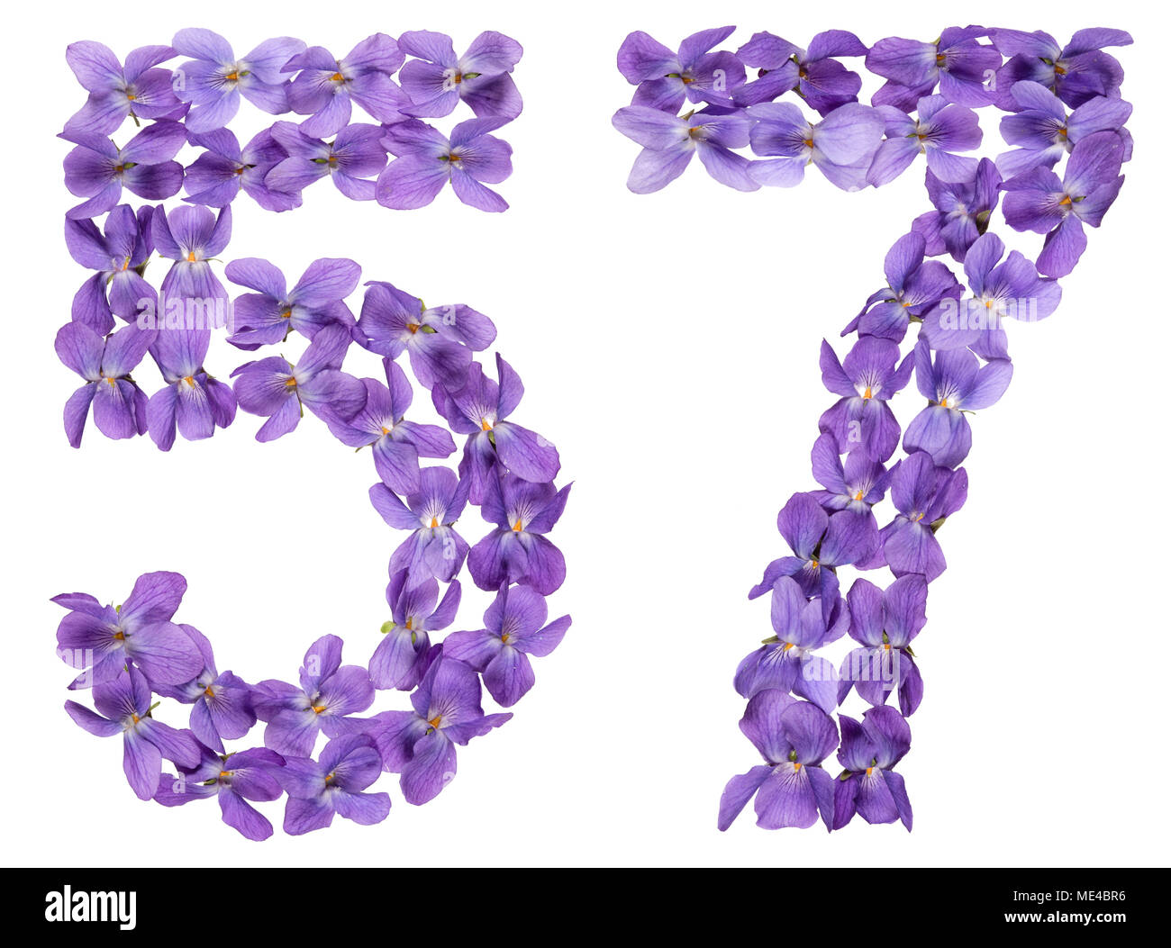 Arabic numeral 57, fifty seven, from flowers of viola, isolated on ...