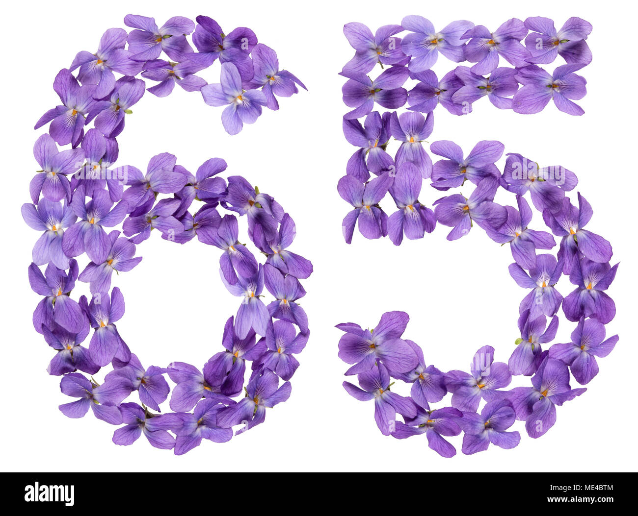 Arabic numeral 65, sixty five, from flowers of viola, isolated on white ...