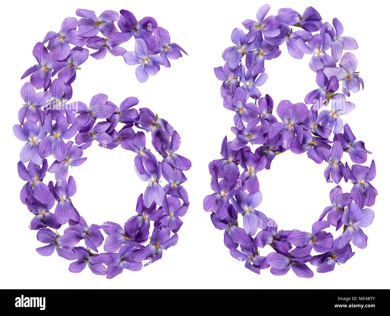 Arabic numeral 68, sixty eight, from flowers of viola, isolated on ...