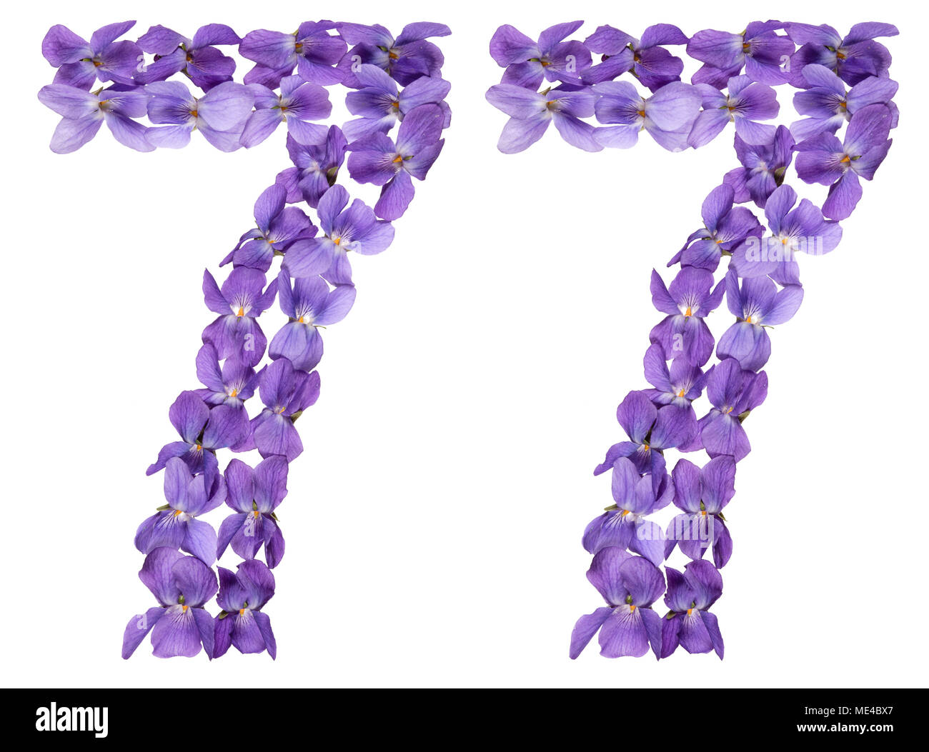 Arabic numeral 77, seventy seven, from flowers of viola, isolated on ...
