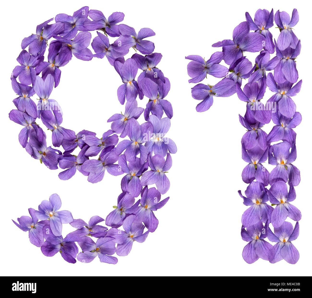 Arabic numeral 91, ninety one, from flowers of viola, isolated on white background Stock Photo ...