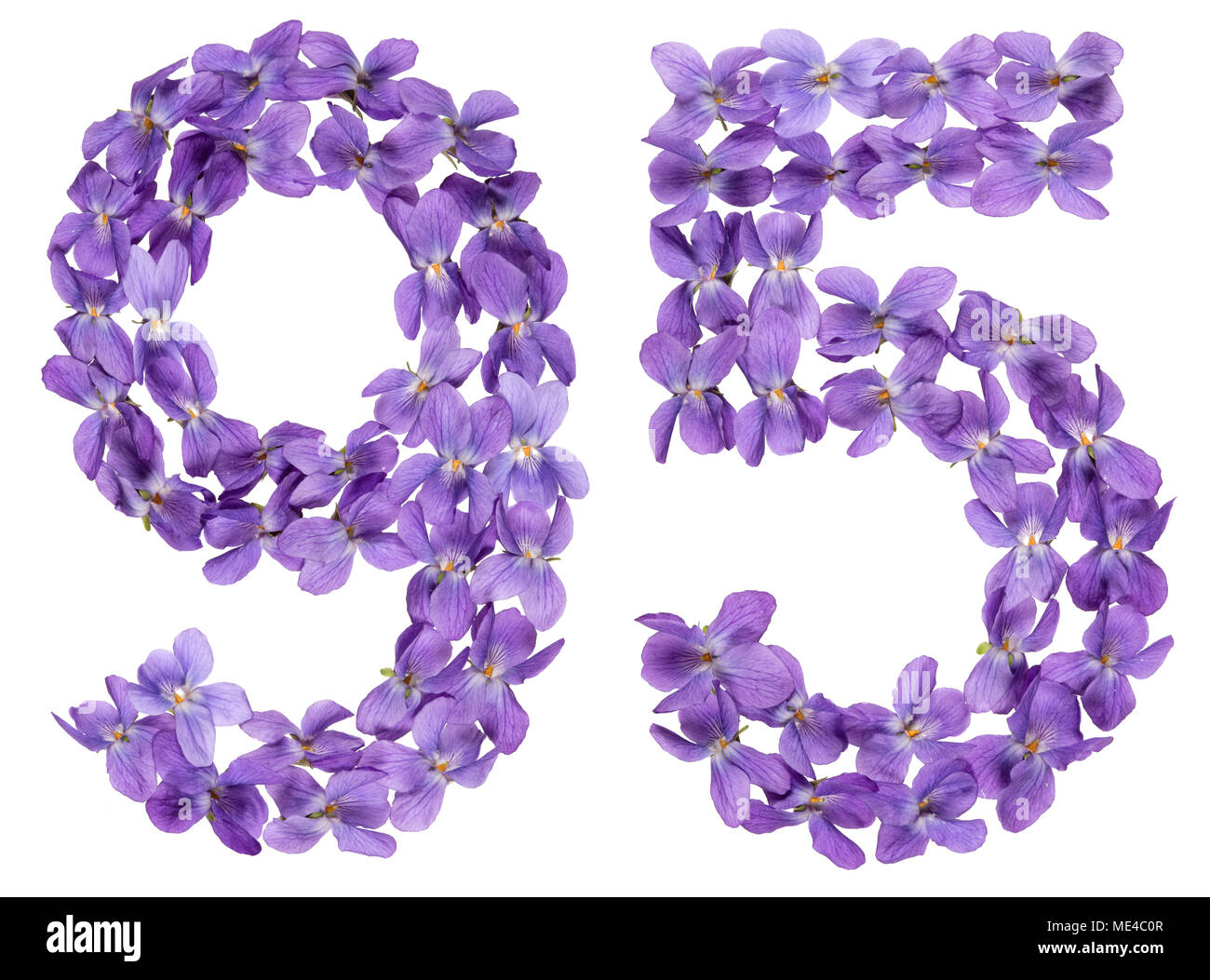 Arabic numeral 95, ninety five, from flowers of viola, isolated on ...