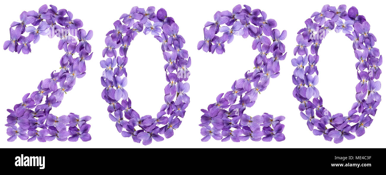 Numeral 2020 from flowers of viola, isolated on white background Stock ...