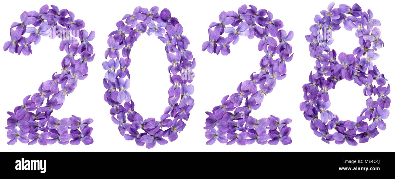 Numeral 2028 from flowers of viola, isolated on white background Stock ...