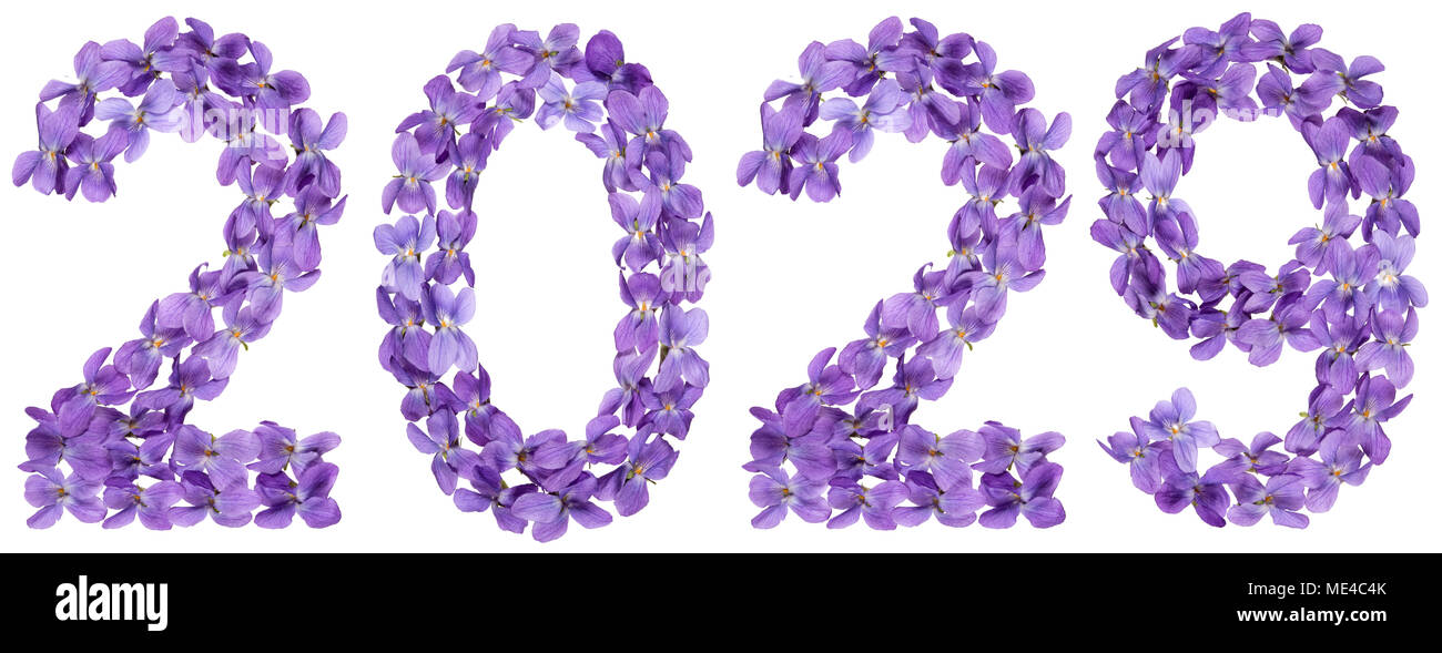 Numeral 2029 from flowers of viola, isolated on white background Stock ...
