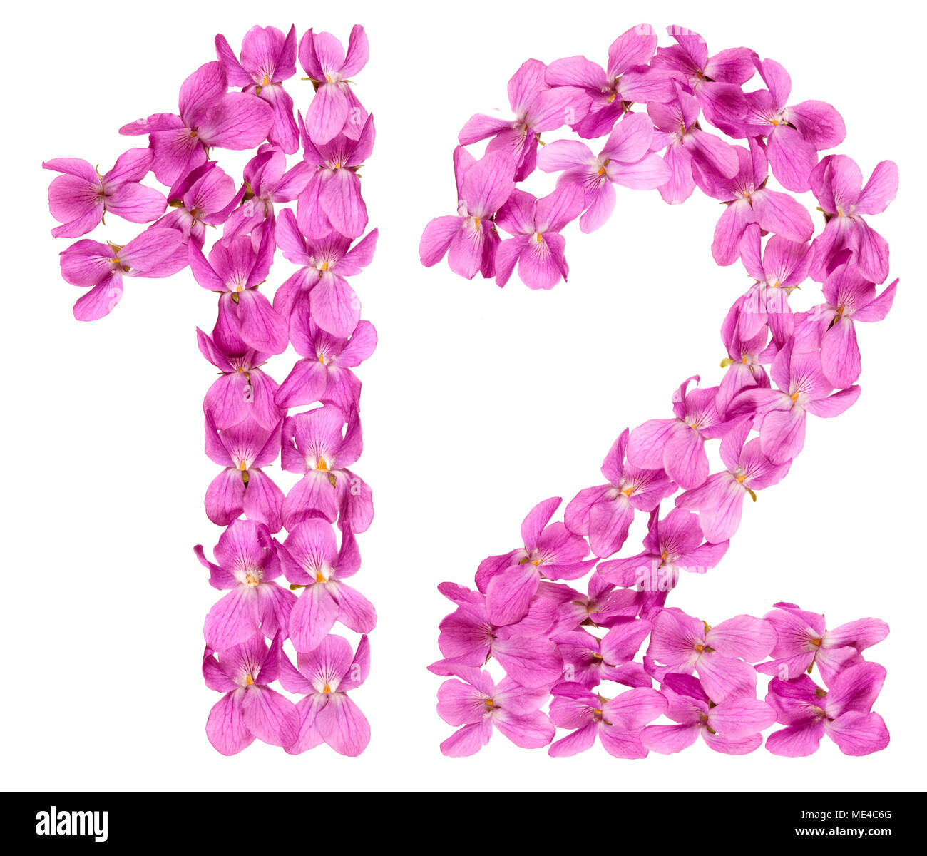 Arabic numeral 12, twelve, from flowers of viola, isolated on white ...