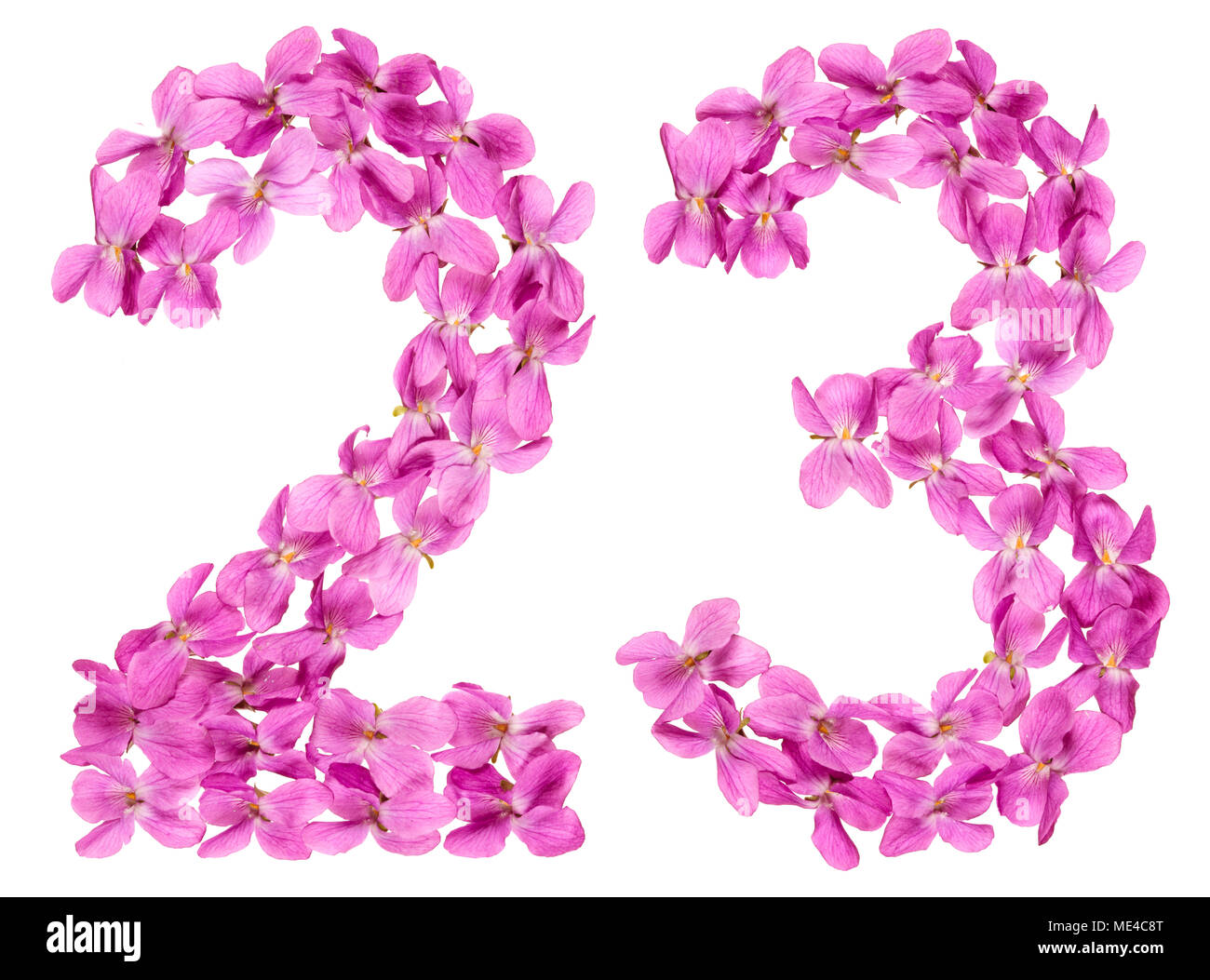 Arabic numeral 23, twenty three, from flowers of viola, isolated on ...