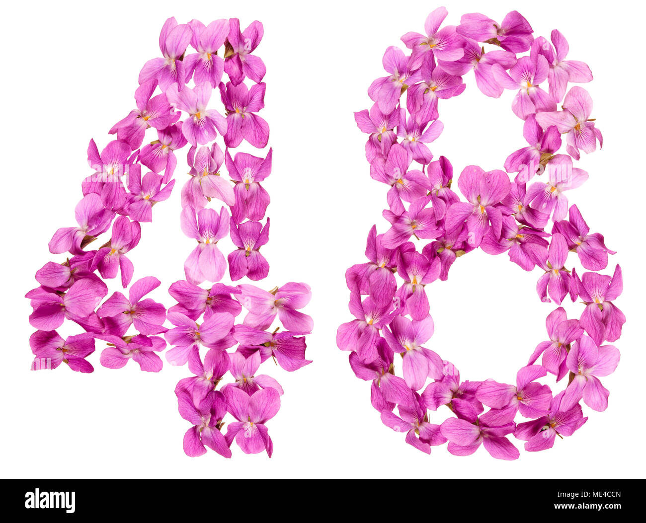 Arabic numeral 48, forty eight, from flowers of viola, isolated on ...